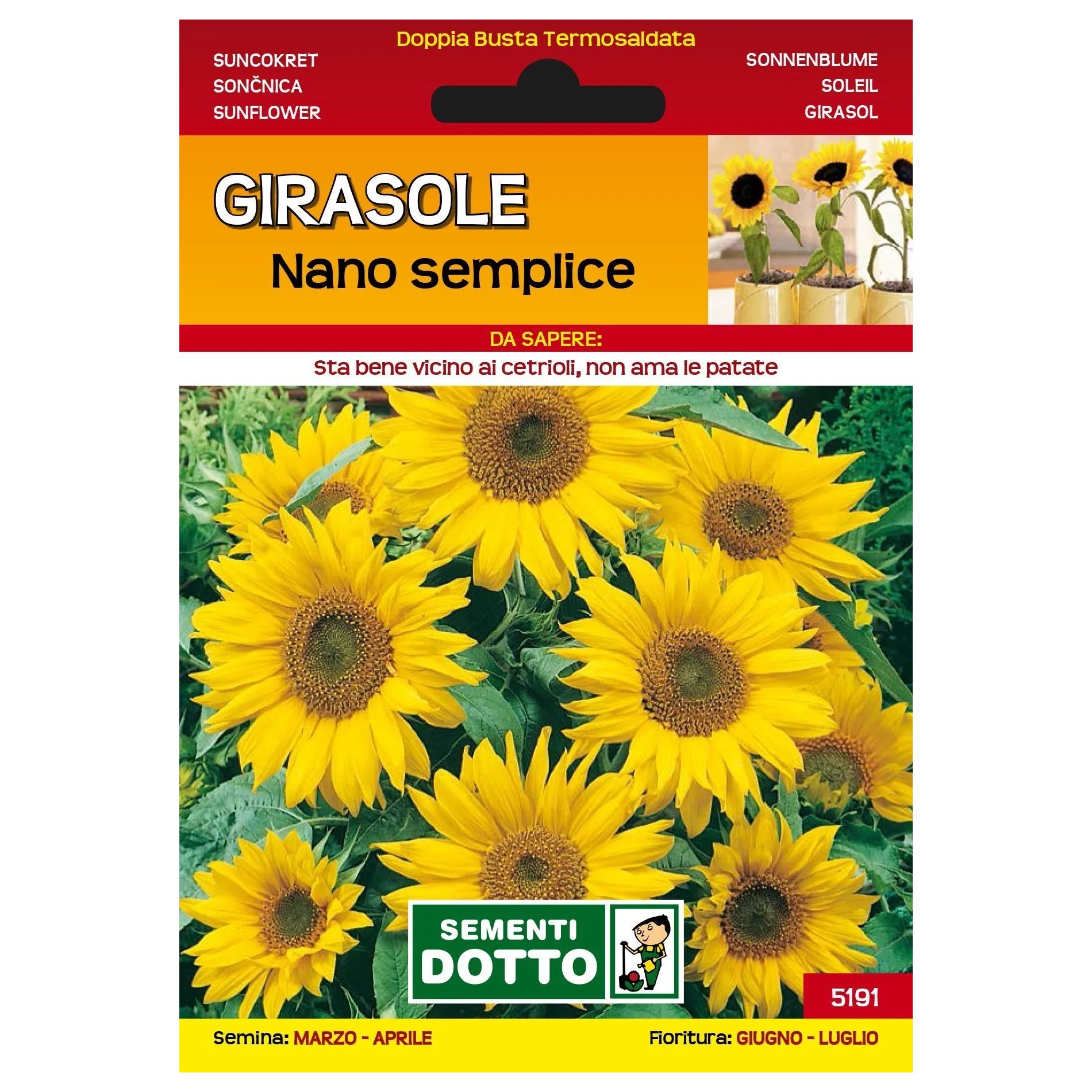 SEMI FIORE